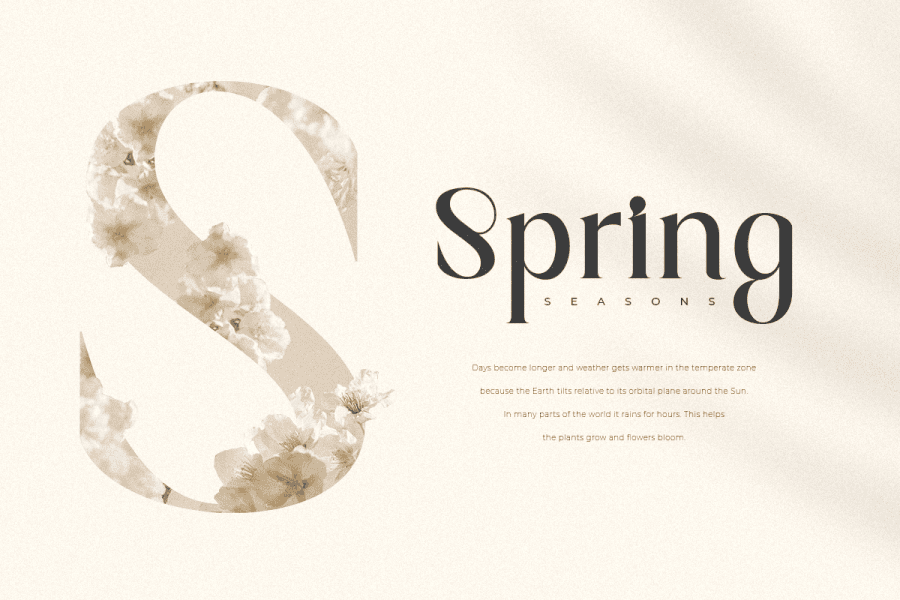 SS Magnolia Font · 1001 Fonts