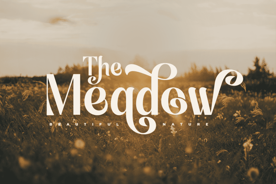 SS Nathan Font · 1001 Fonts