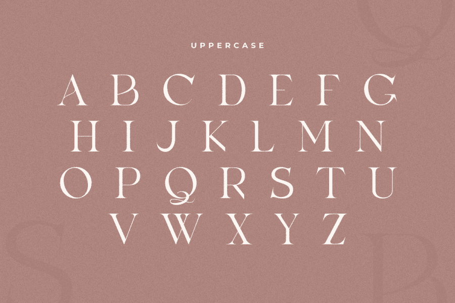 SS Rachel Font · 1001 Fonts