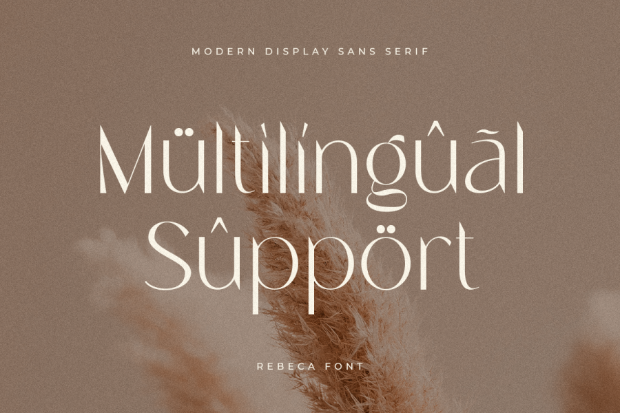 SS Rebeca Font · 1001 Fonts