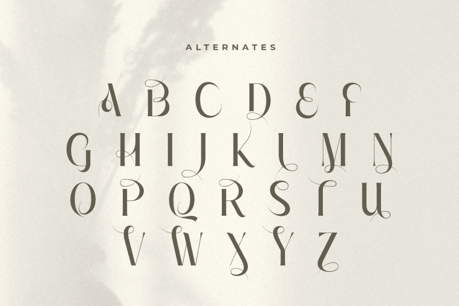 SS Reward Font · 1001 Fonts