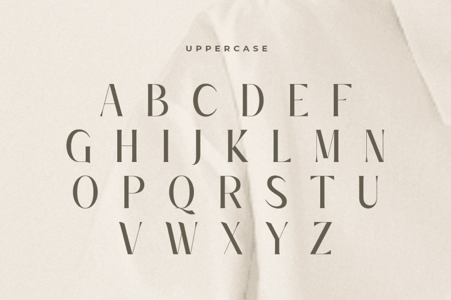 SS Reward Font · 1001 Fonts