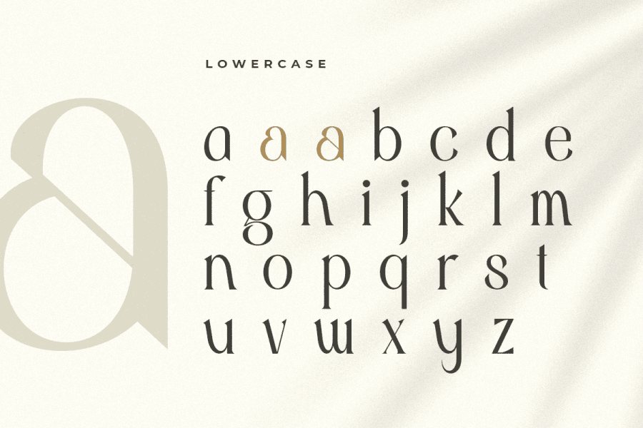 SS Rosemary Font · 1001 Fonts