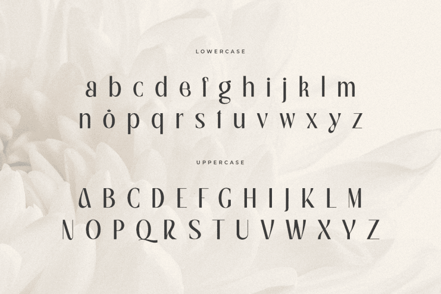 SS Royal Font · 1001 Fonts