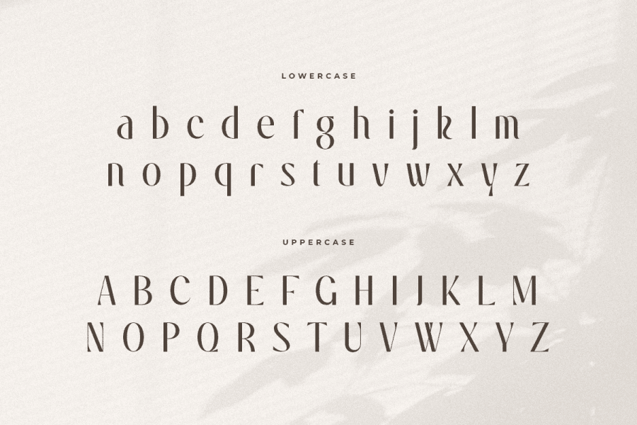 SS Serenity Font · 1001 Fonts