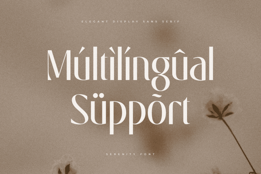 SS Serenity Font · 1001 Fonts