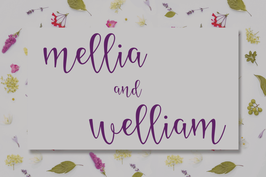 starlight script Font · 1001 Fonts