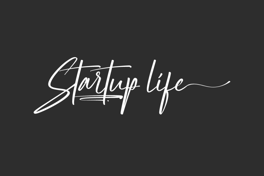Startup Life Demo Font · 1001 Fonts