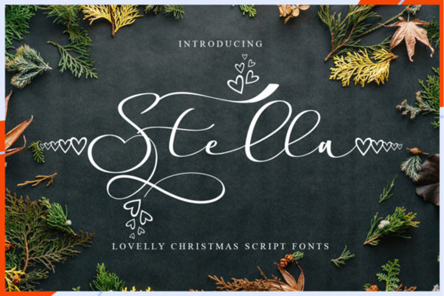 Stella Calligraphy Font · 1001 Fonts
