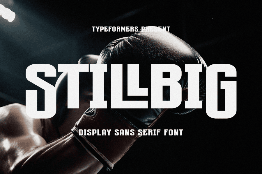 Stillbig Font · 1001 Fonts