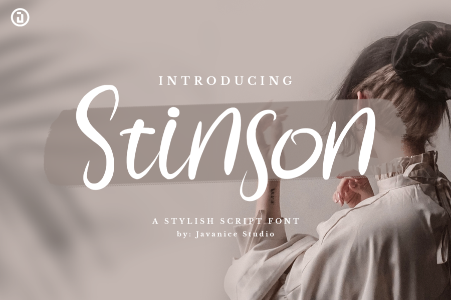 Stinson Font · 1001 Fonts