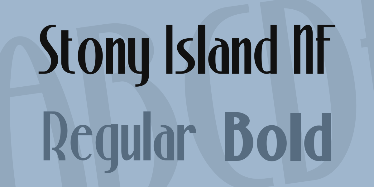 Stony Island NF Font Family · 1001 Fonts