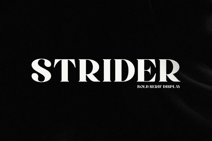 Strider Font · 1001 Fonts