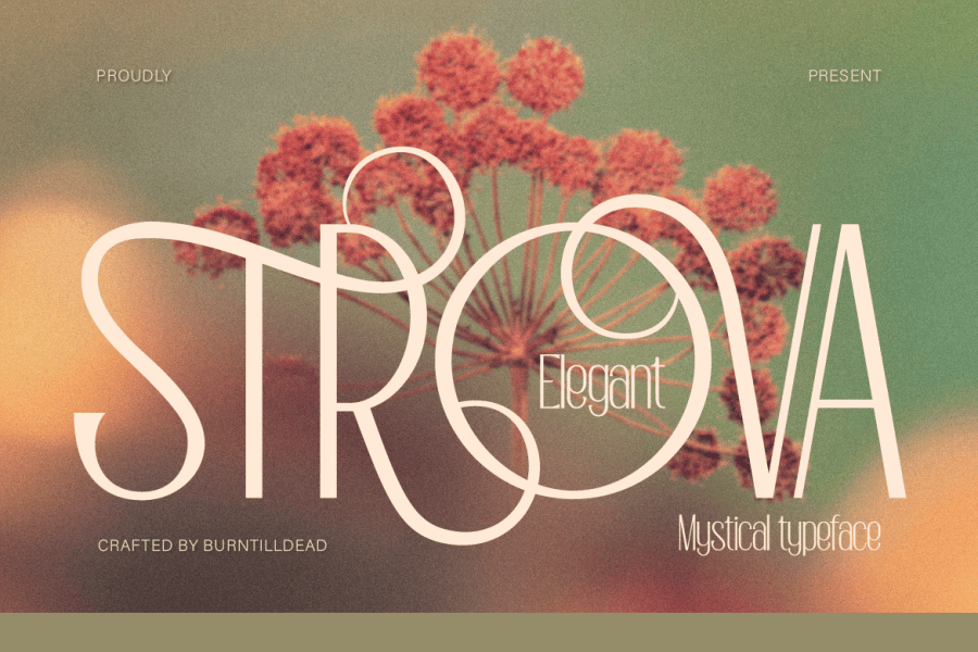 Strova Demo Font · 1001 Fonts