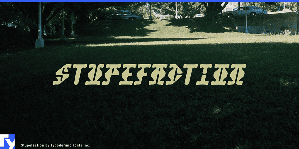 1 Free Canadian, Caps Only, Hard To Read Font · 1001 Fonts