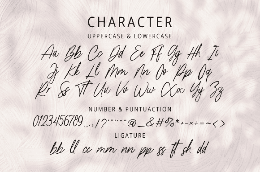 Stylish Fashion Font · 1001 Fonts