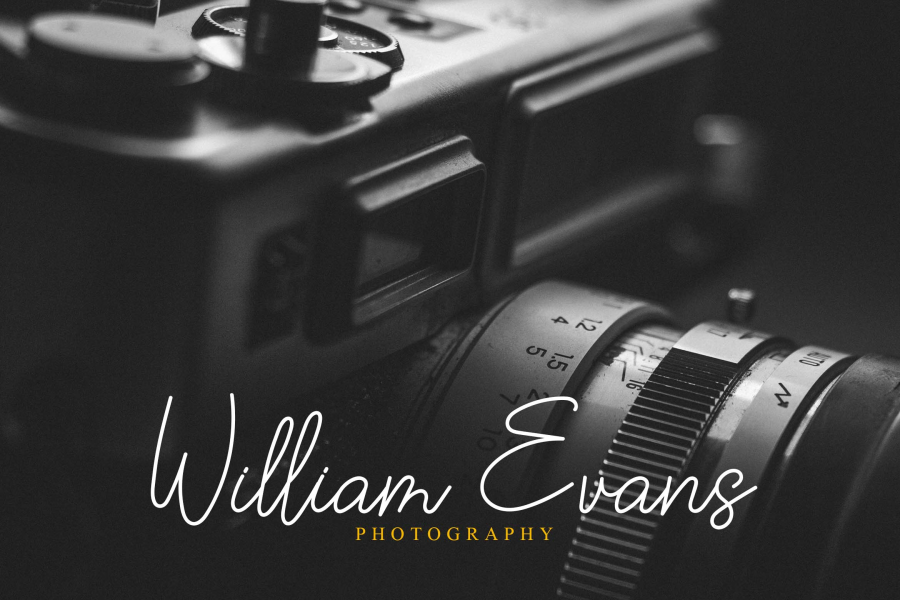 Sullivan Font · 1001 Fonts