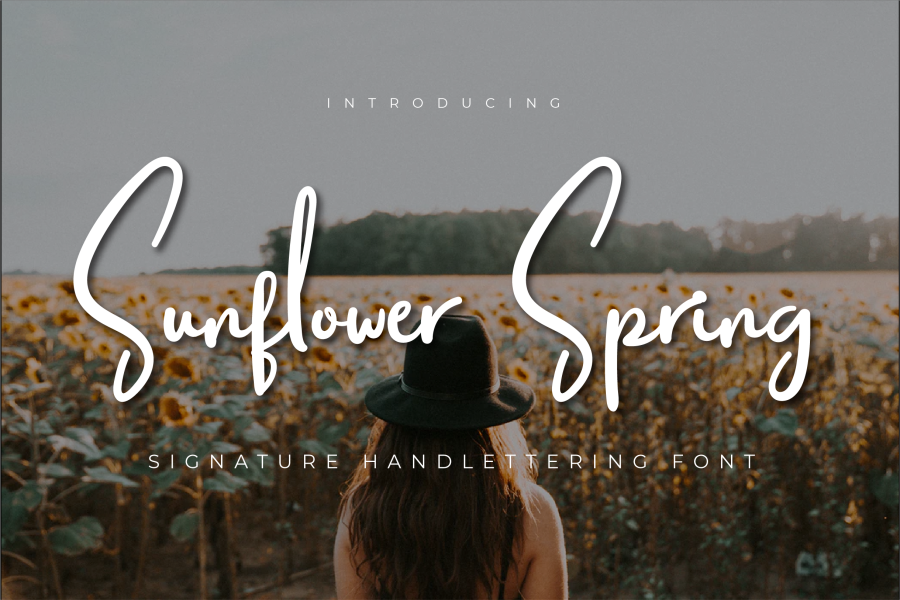 Sunflower Spring Font · 1001 Fonts