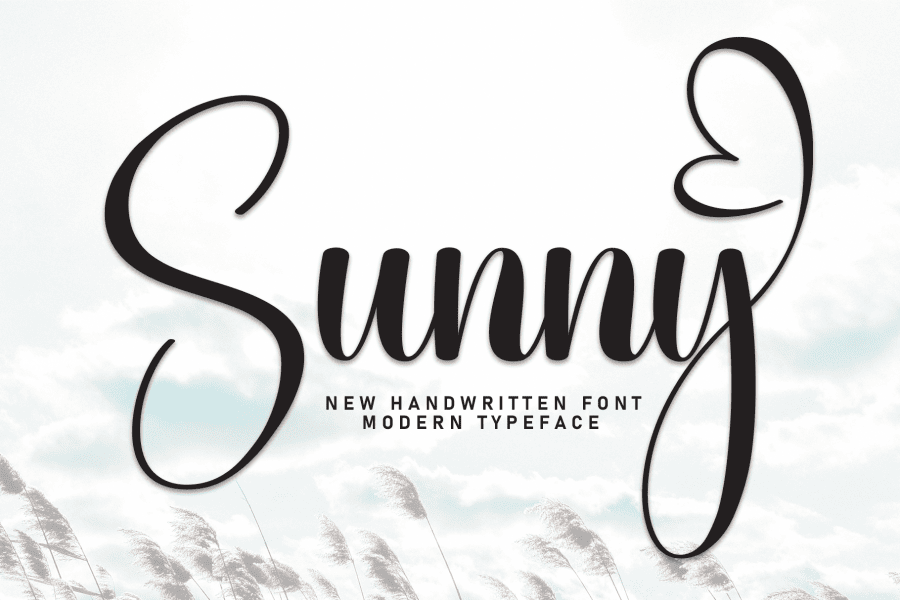 Sunny Font · 1001 Fonts