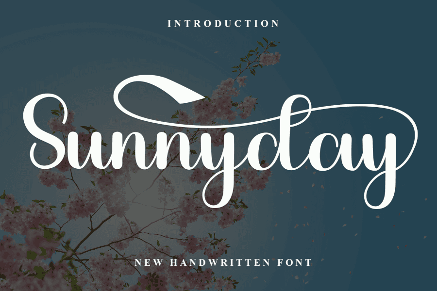 Sunnyday Font · 1001 Fonts