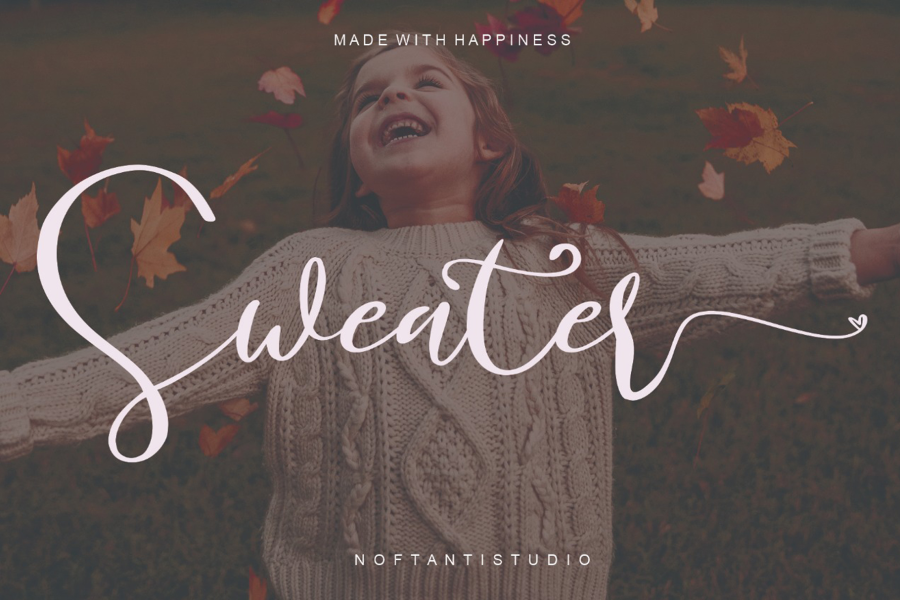 Sweater Script Font Family · 1001 Fonts