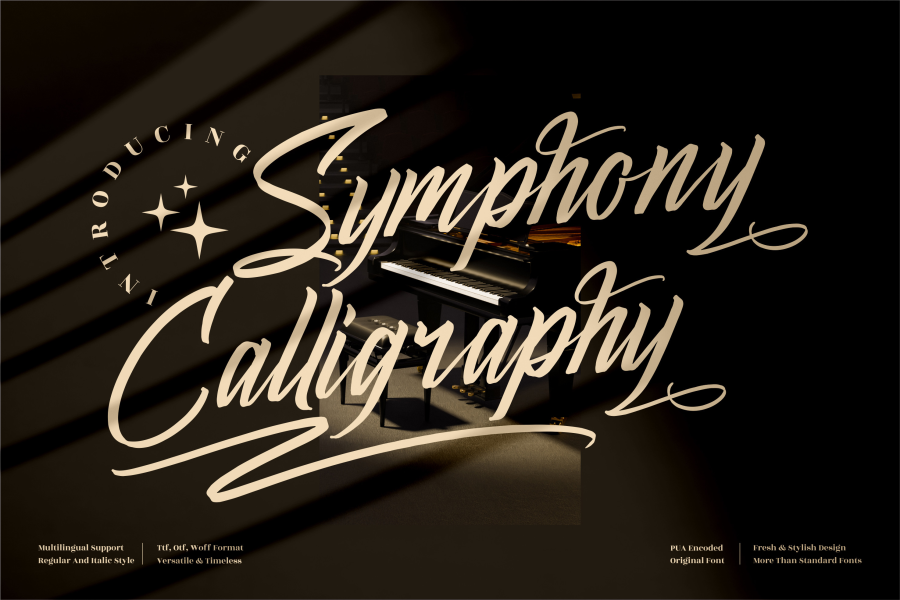 Symphony Calligraphy Font Family · 1001 Fonts