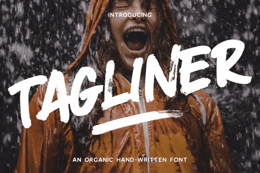 TAGLINER Font Family · 1001 Fonts