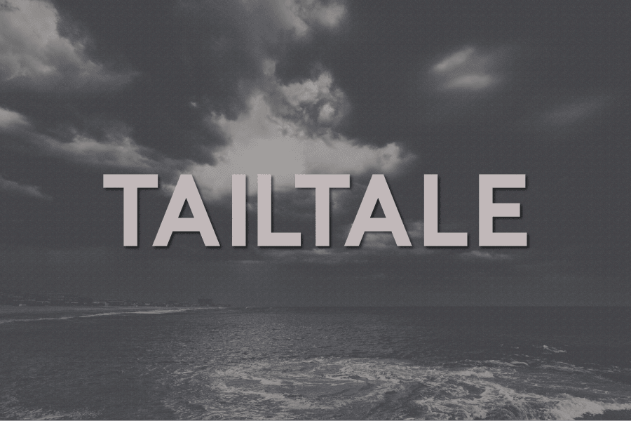Tailtale Font · 1001 Fonts