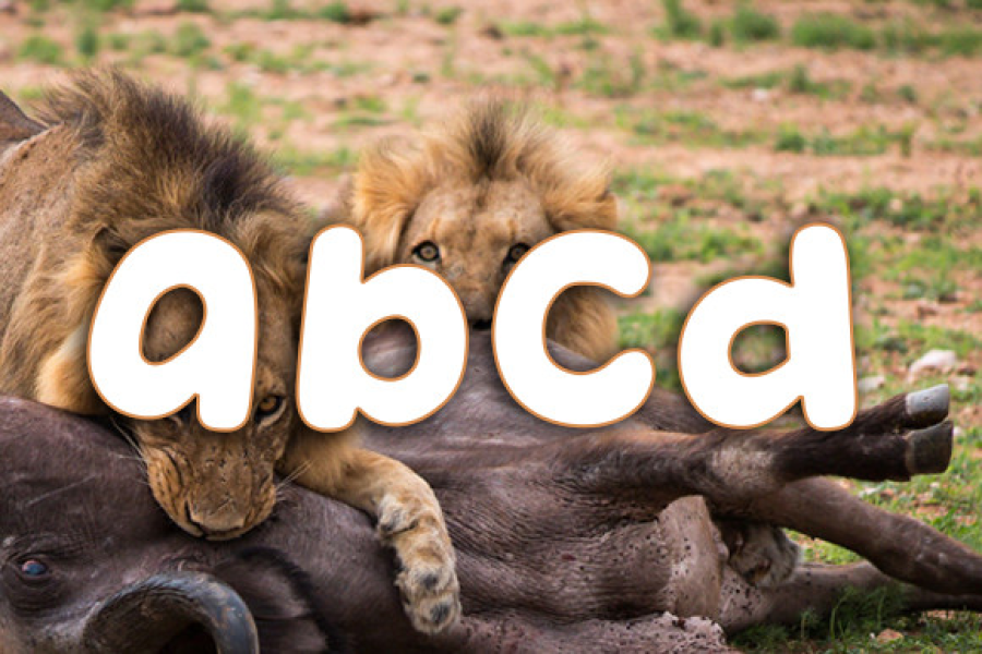 Takeover Font Family · 1001 Fonts