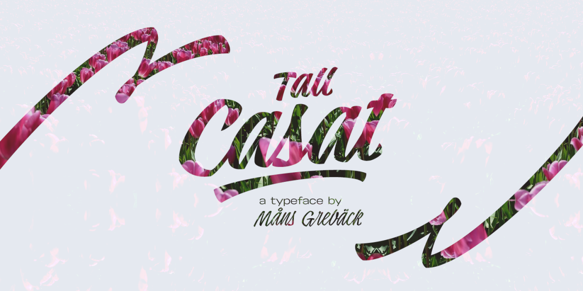 5 Free Cursive, Mixed Case, Tall Fonts · 1001 Fonts