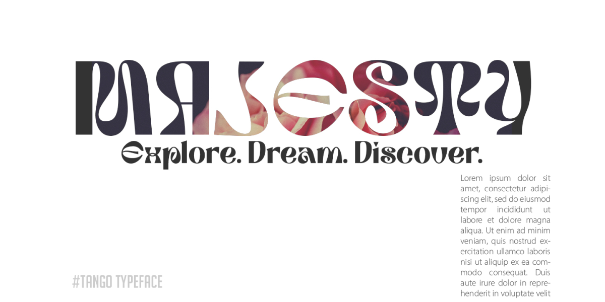 Tango Demo Font · 1001 Fonts