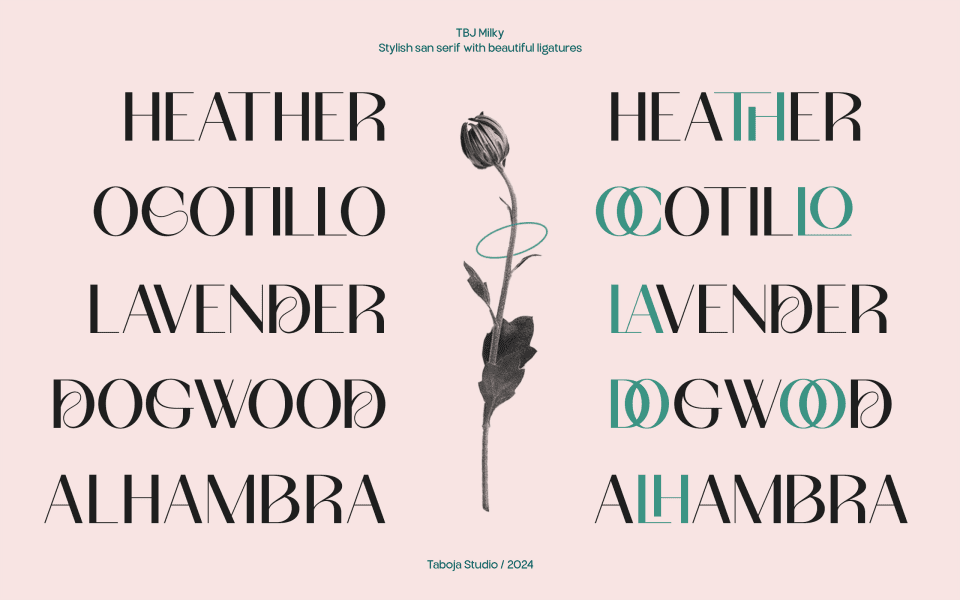 TBJ Milky Mini Edition Font Family · 1001 Fonts