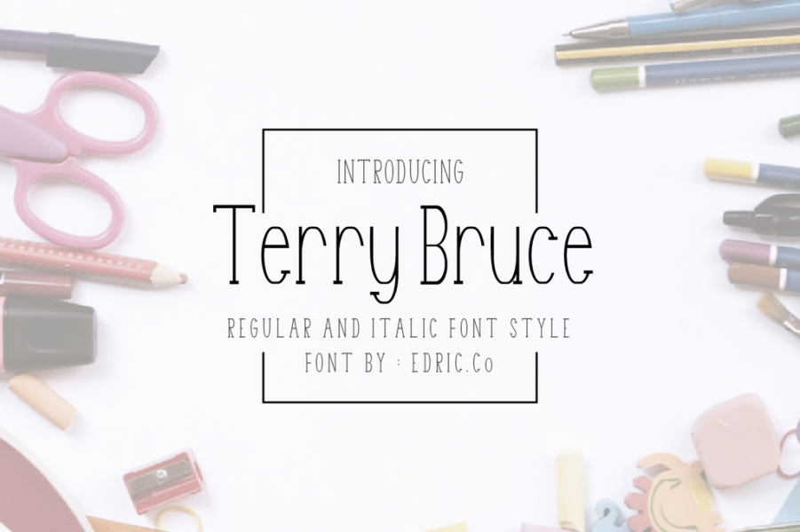 TerryBruce DEMO Font Family · 1001 Fonts
