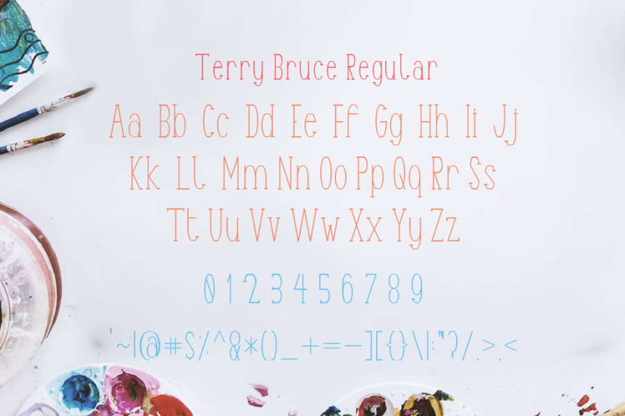 TerryBruce DEMO Font Family · 1001 Fonts