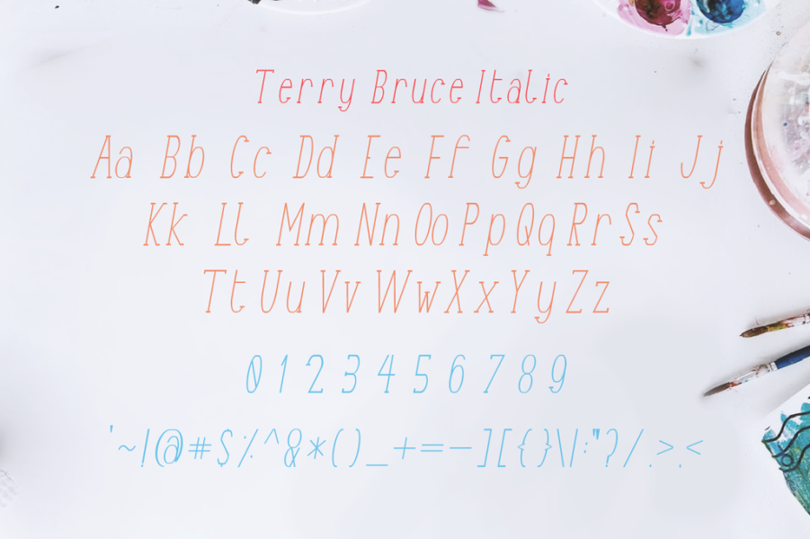 TerryBruce DEMO Font Family · 1001 Fonts