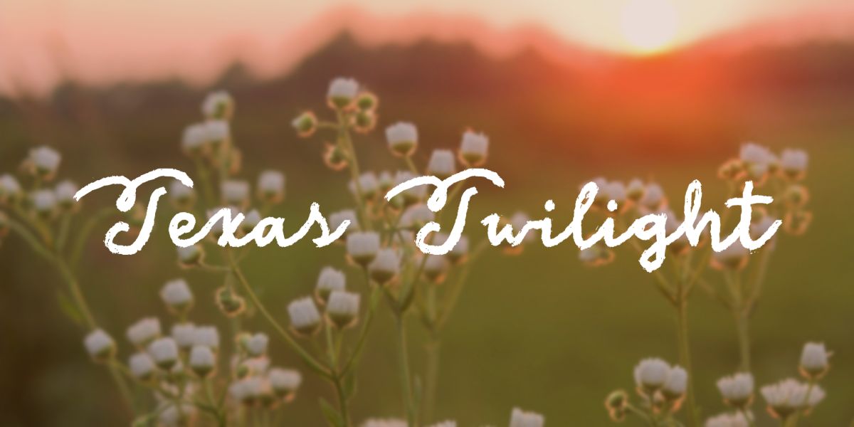 2 Free Chalk, Crayon, Handwriting, Handwritten, Script, Textured Fonts ...