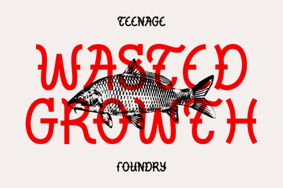 TF Wasted Growth DEMO Font · 1001 Fonts