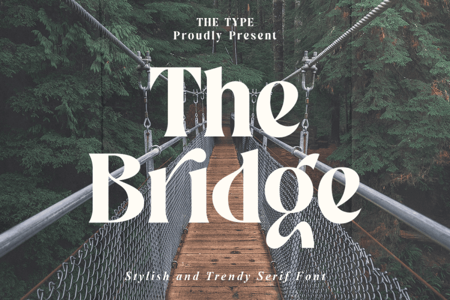 The BridgeDemo Font · 1001 Fonts