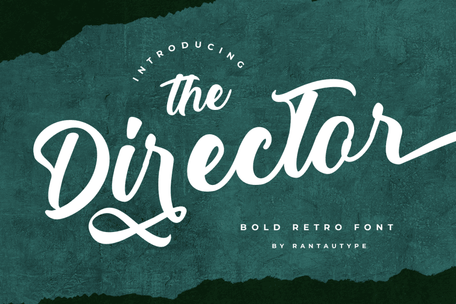 The Director Script Font · 1001 Fonts