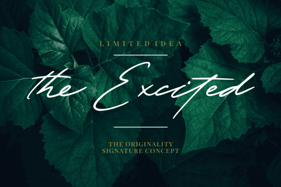 The Excited Font · 1001 Fonts
