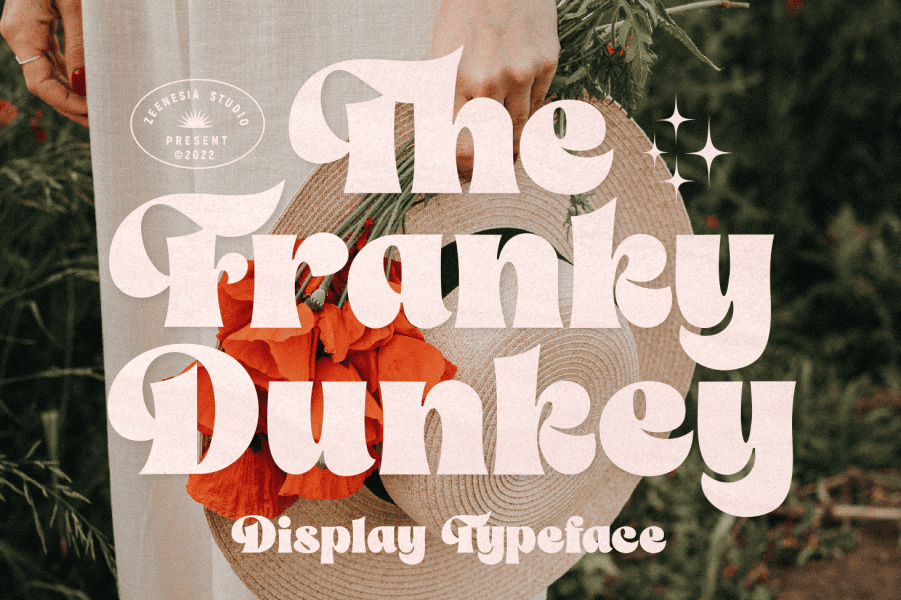 The Franky Dunkey Personal Use Font · 1001 Fonts