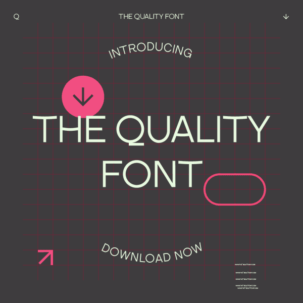 THE QUALITY FONT Font · 1001 Fonts
