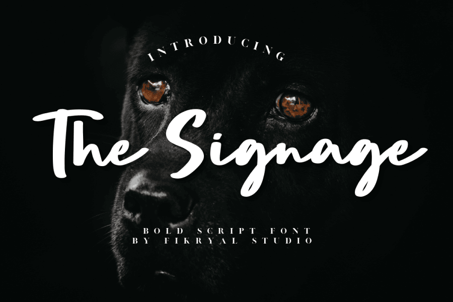 The Signage Font · 1001 Fonts