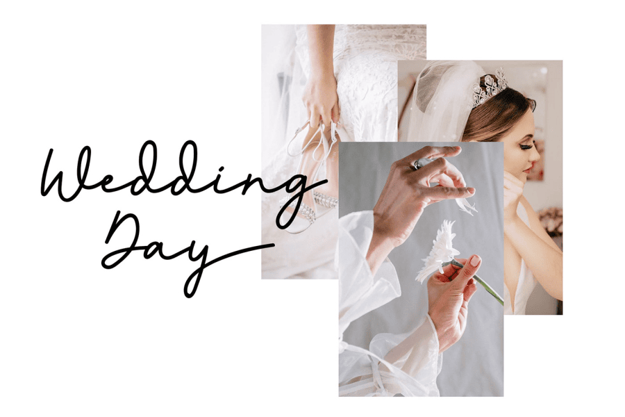 Thea Amelia Font · 1001 Fonts