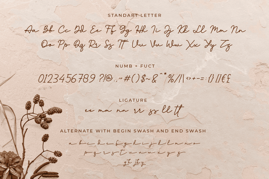 Thea Amelia Font · 1001 Fonts