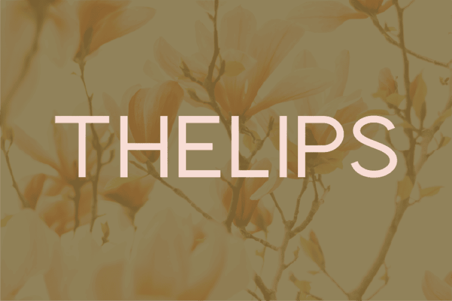 Thelips Font · 1001 Fonts