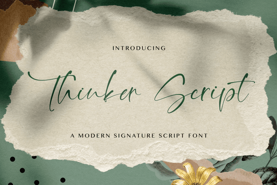 Thinker Script Font · 1001 Fonts