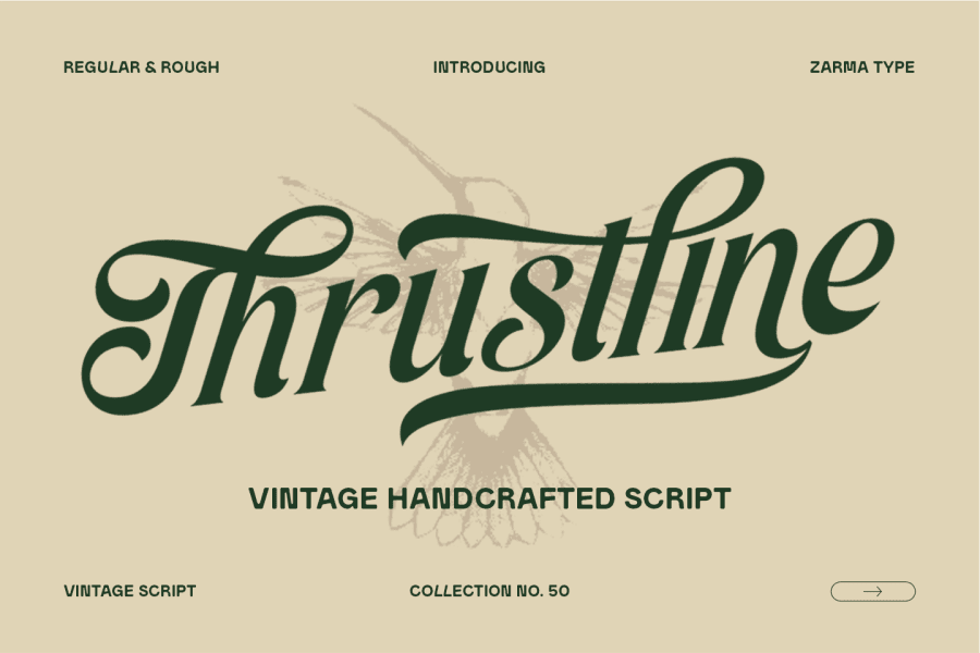 Thrustline Demo Font · 1001 Fonts