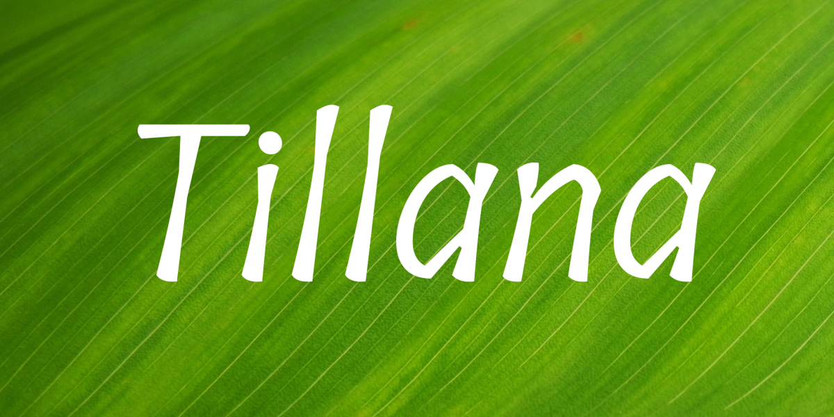 Tillana Font Family · 1001 Fonts