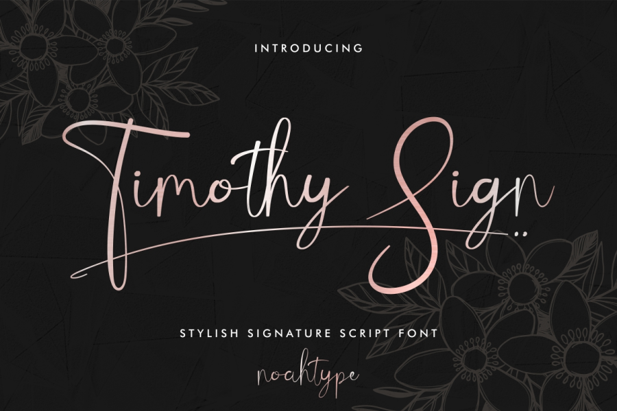 Timothy Sign Demo Font · 1001 Fonts